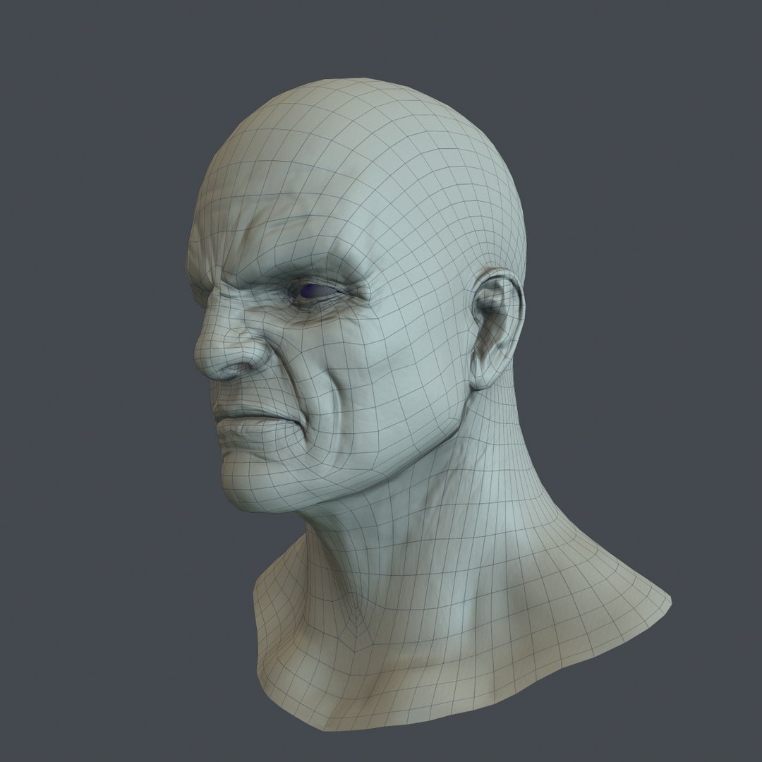 Head Unwrapped Normal 3d Model
