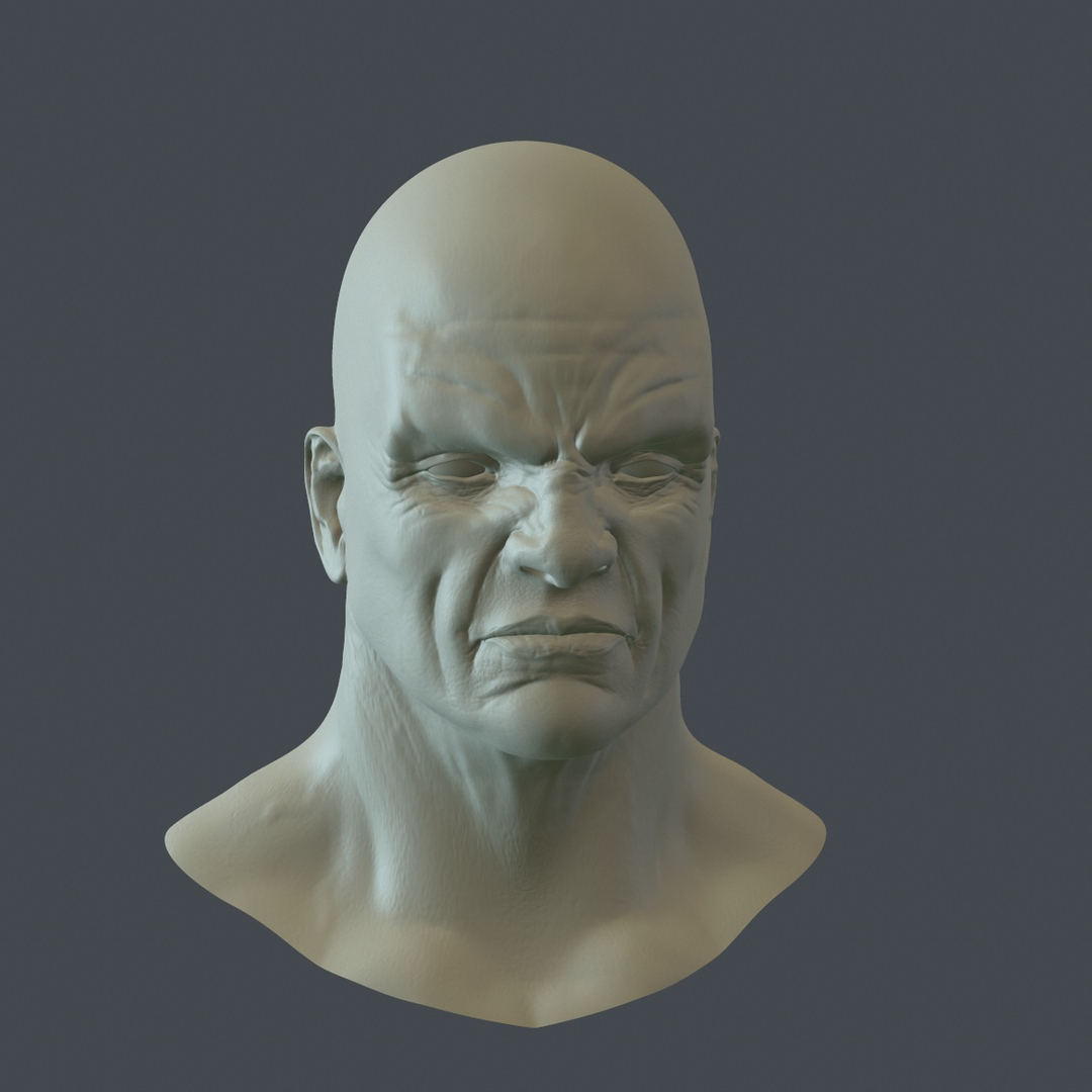 Head Unwrapped Normal 3d Model
