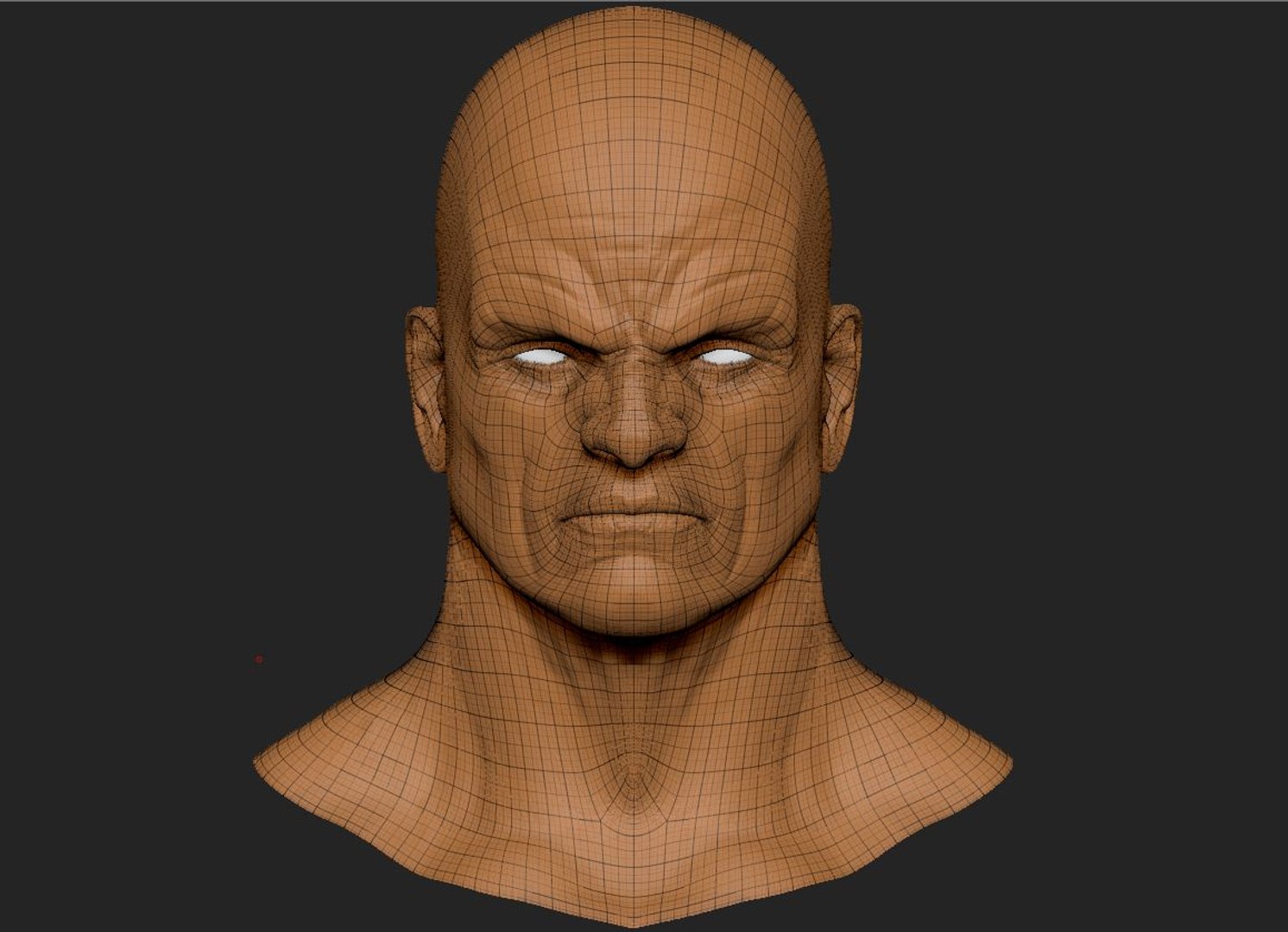 Head Unwrapped Normal 3d Model