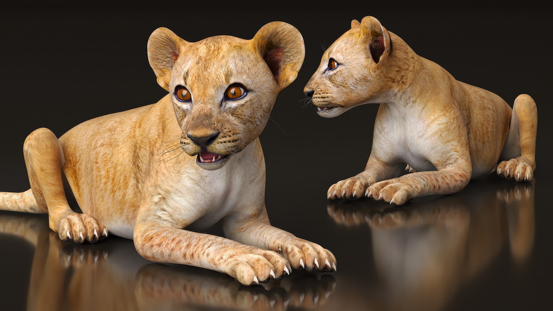 3D Lion Cub Lying Down - TurboSquid 2335578