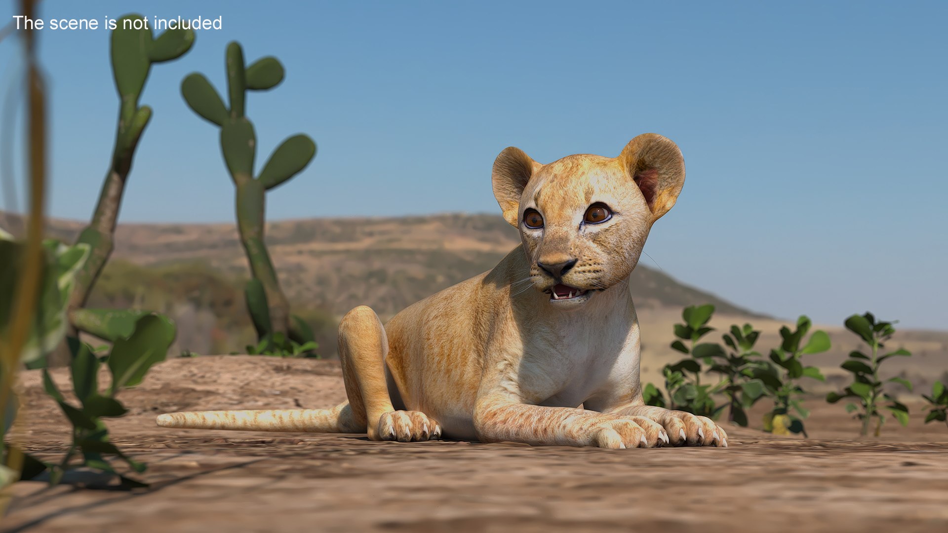 3D Lion Cub Lying Down - TurboSquid 2335578