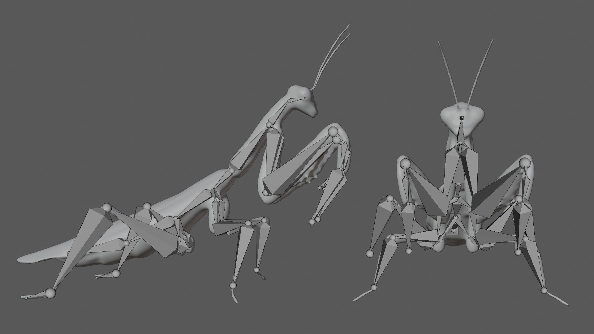3D Rigged Praying Mantis Model - TurboSquid 1780320
