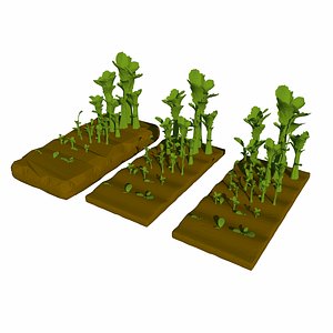 3d bell pepper seedlings model