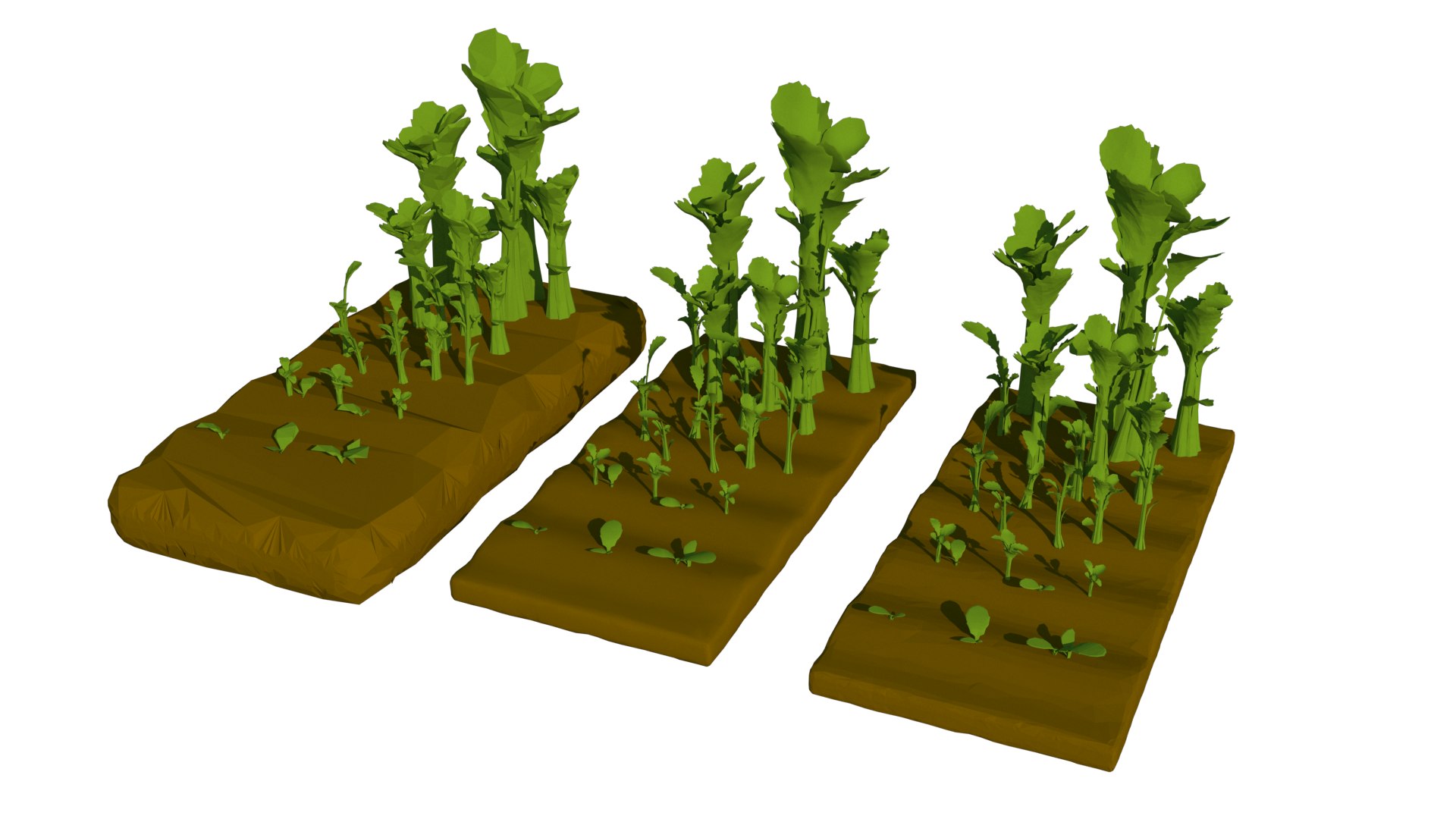 Farm Plant 3D Model - TurboSquid 1573692