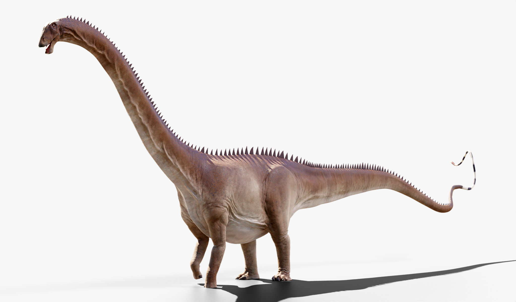 3D Diplodocus model - TurboSquid 1900623