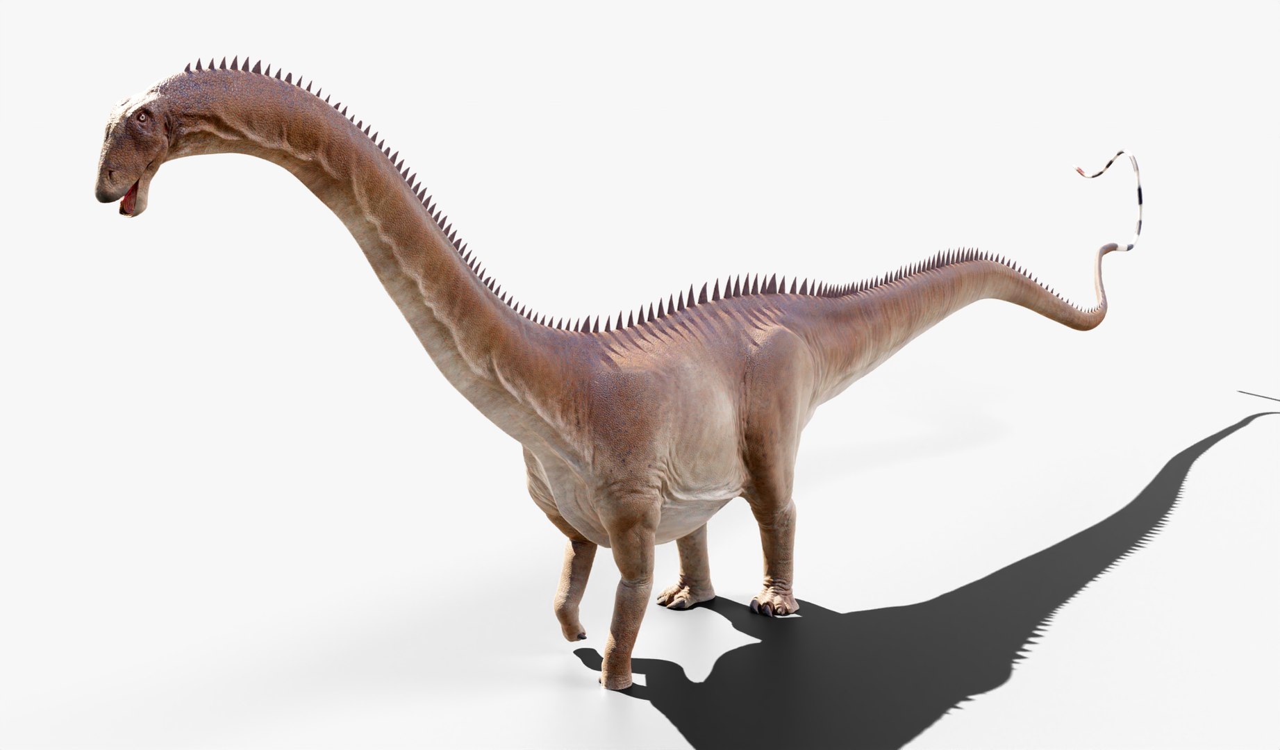 3D Diplodocus Model - TurboSquid 1900623