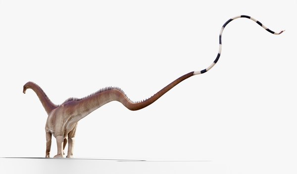 3D Diplodocus model - TurboSquid 1900623