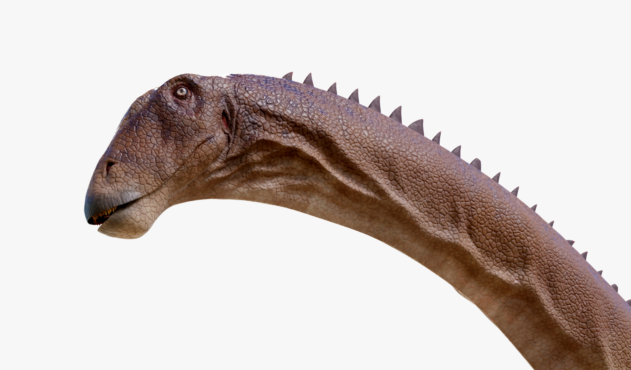 3D Diplodocus model - TurboSquid 1900623