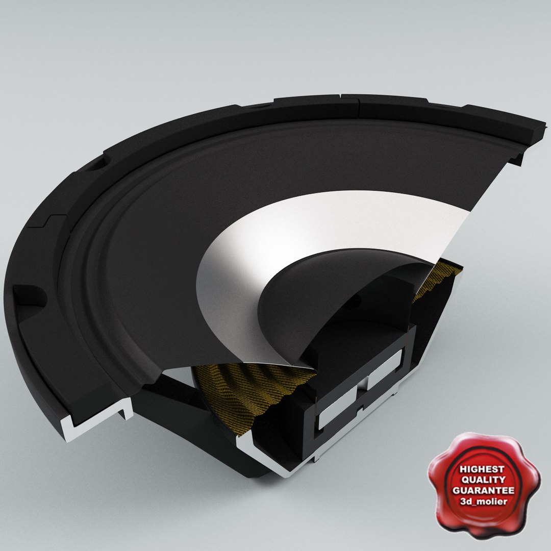 Speaker Cut 3d Model