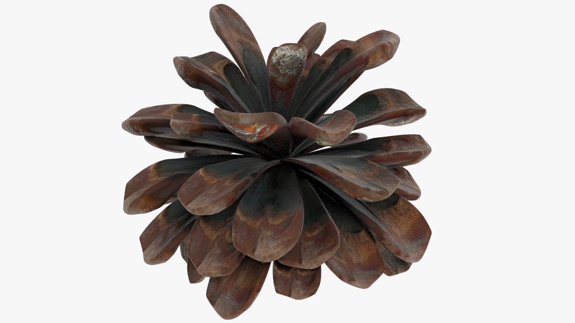 3D Model Cone Middle Poly V1 - TurboSquid 2151040