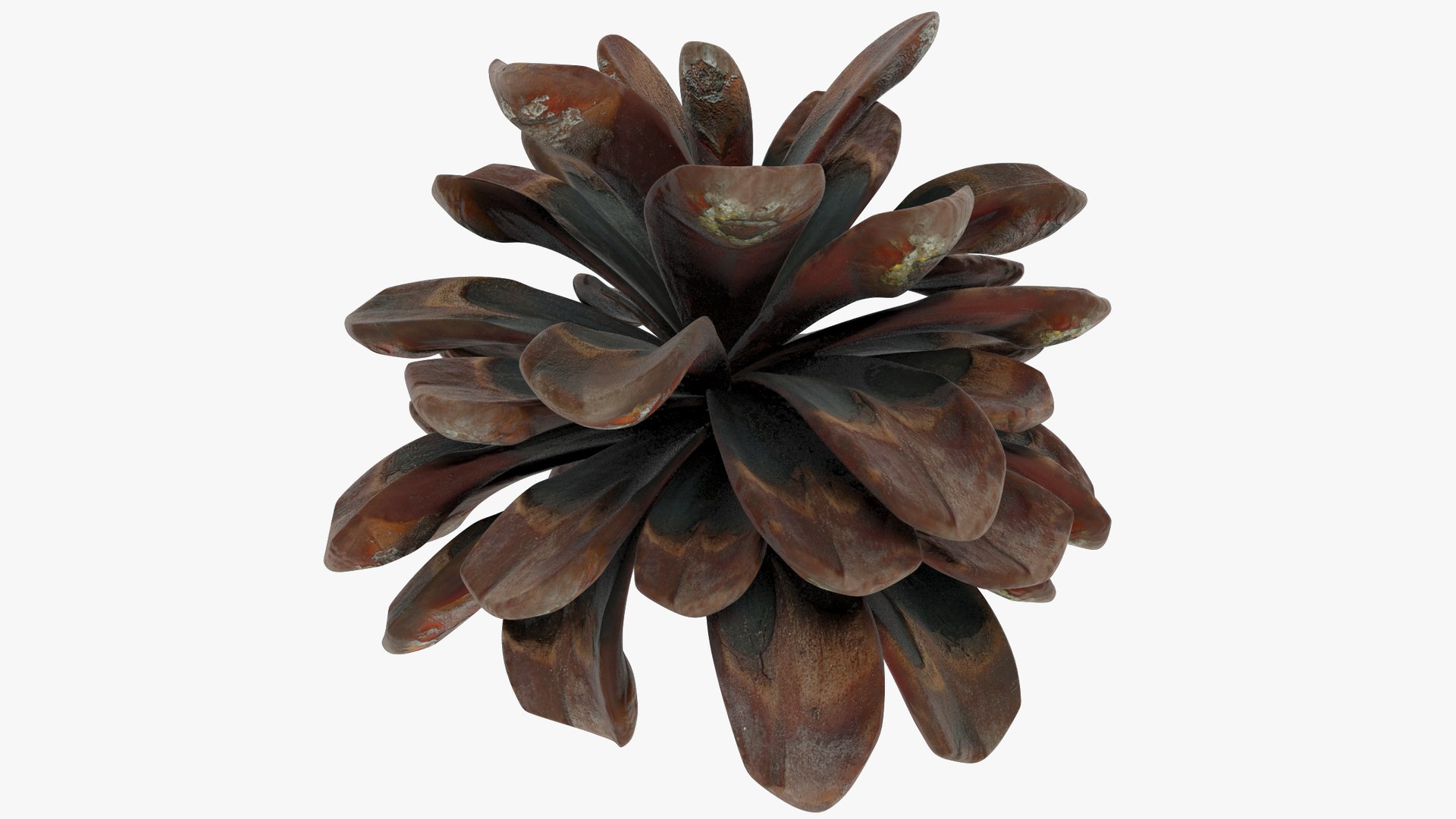 3D Model Cone Middle Poly V1 - TurboSquid 2151040