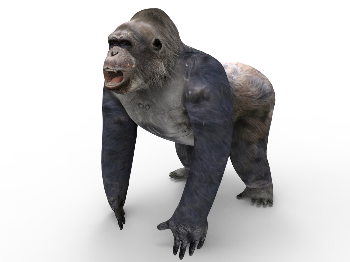 Gorilla Rigged Model - TurboSquid 1235418