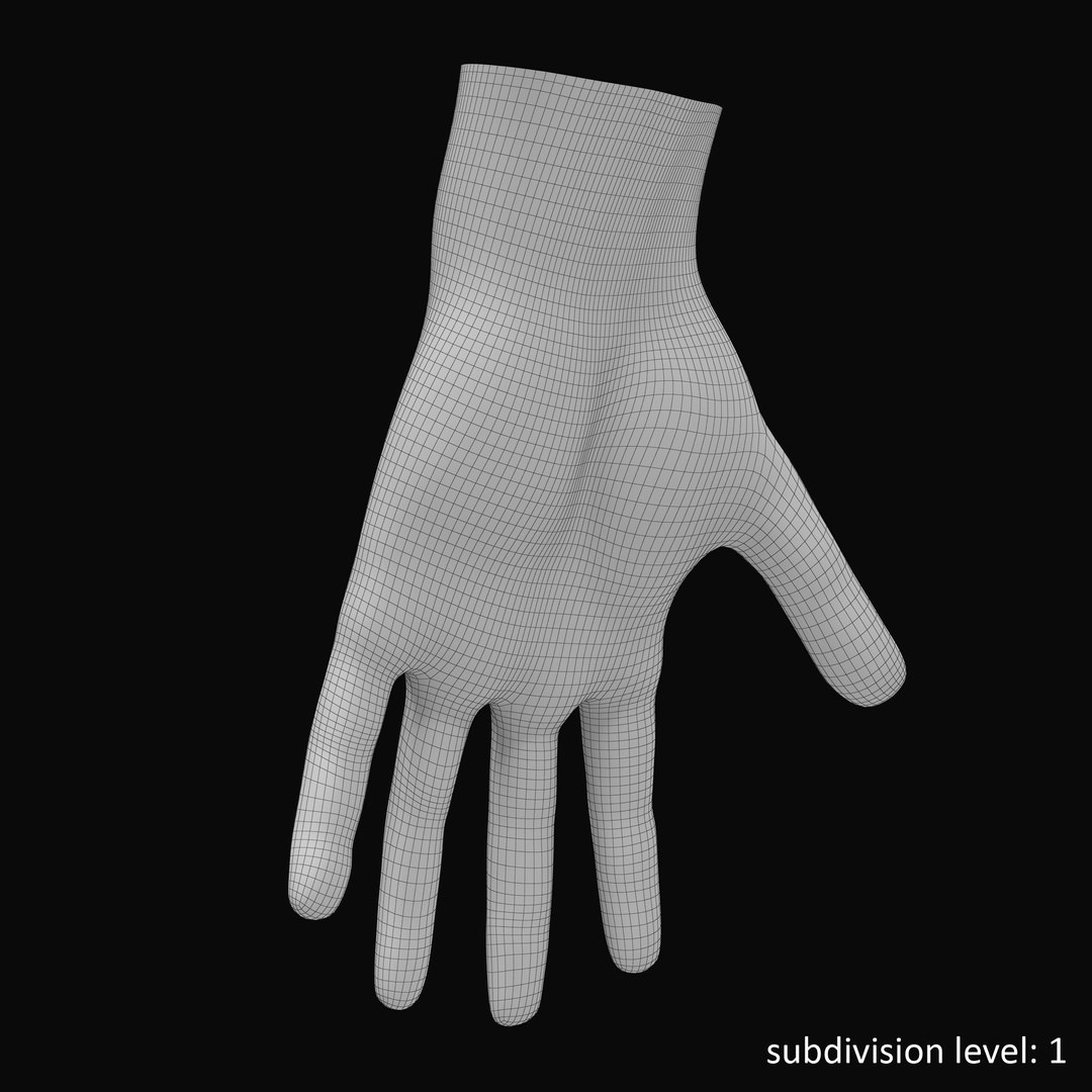 3d Hand Skin Type 6 Model