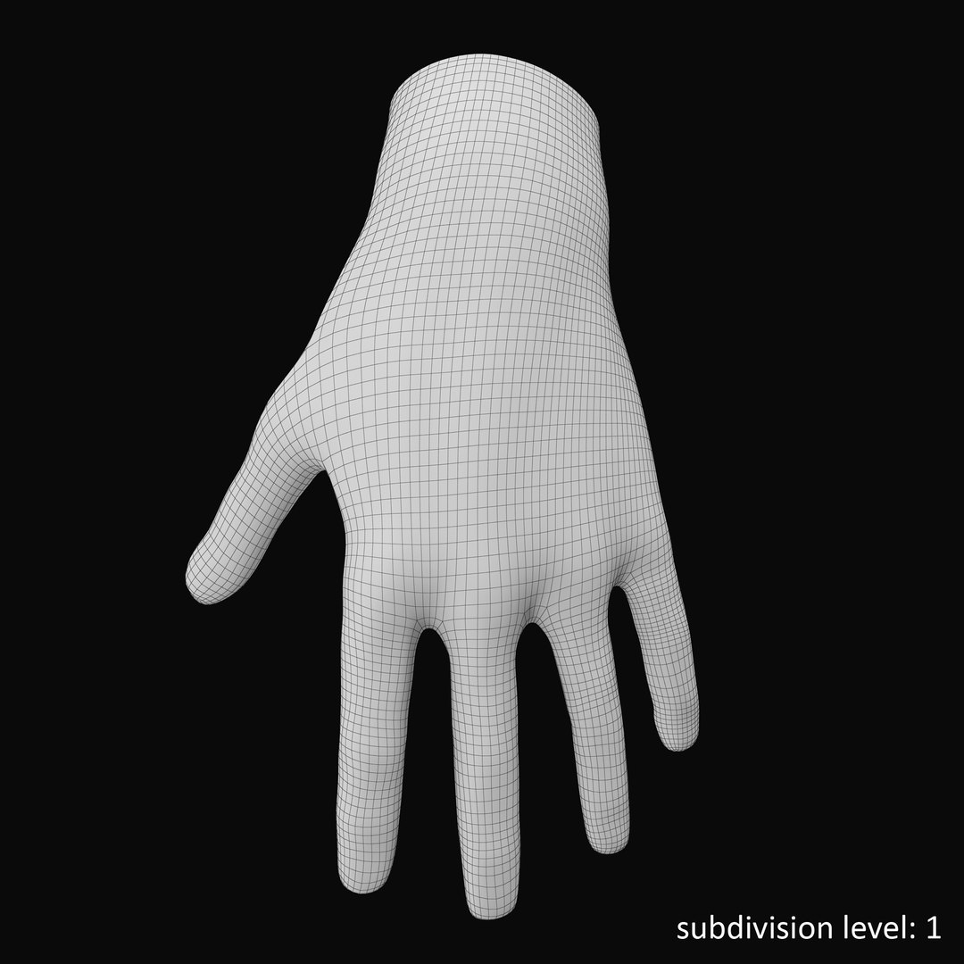 3d Hand Skin Type 6 Model