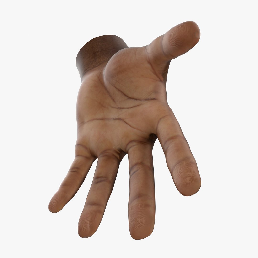 3d Hand Skin Type 6 Model