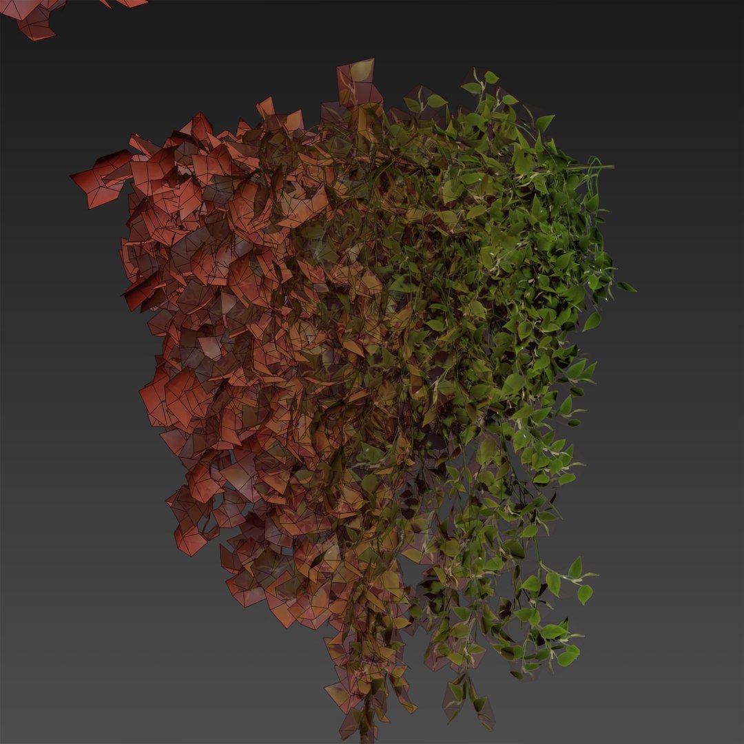 3D Collection plant vol 529 - bush - Outdoor - ivy - pothos model ...