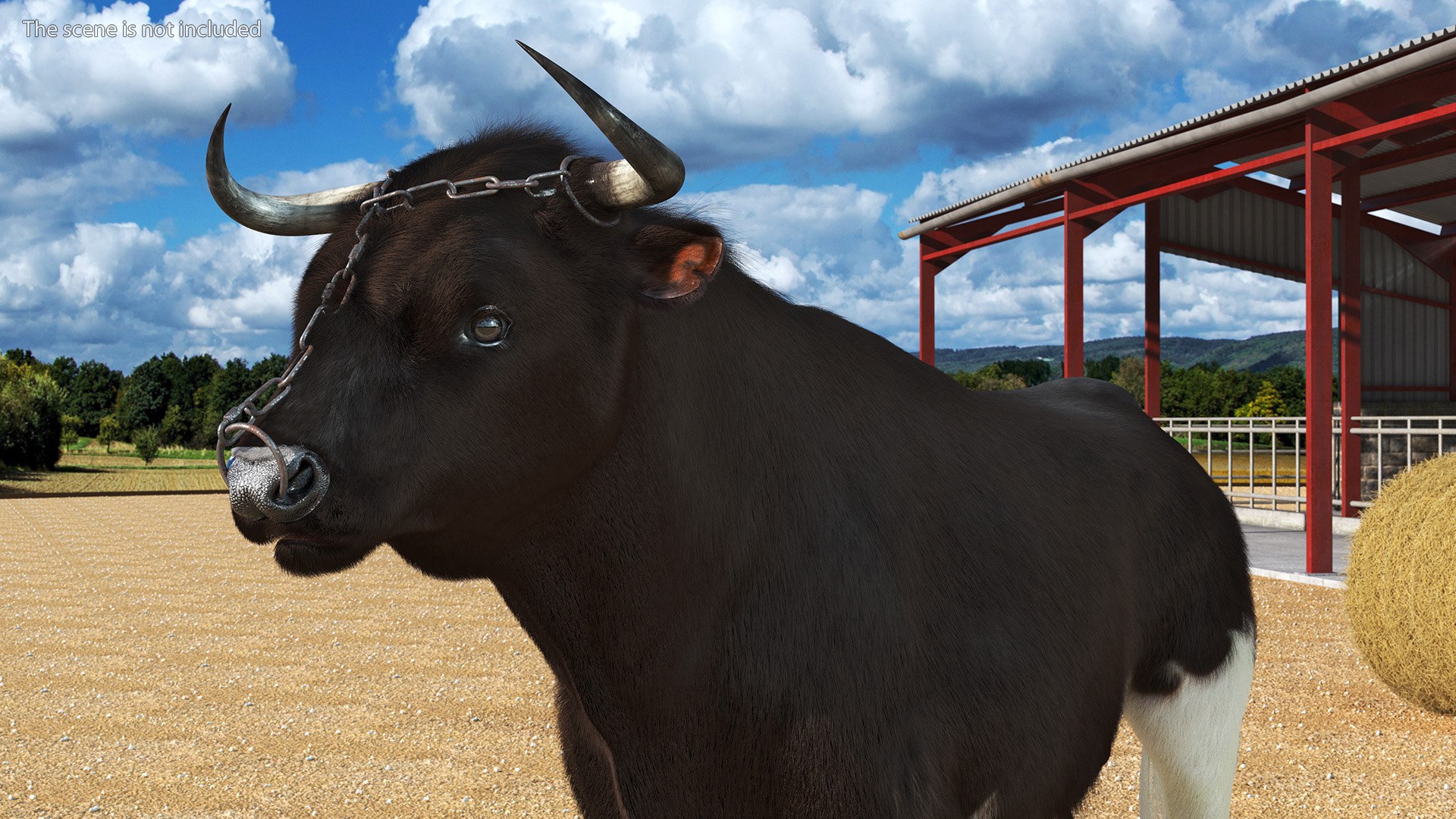 3D Bull With A Chain Fur - TurboSquid 2168177
