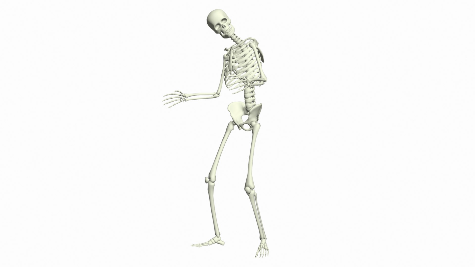 Skeleton Sitting Disbelief 3D - TurboSquid 1890984