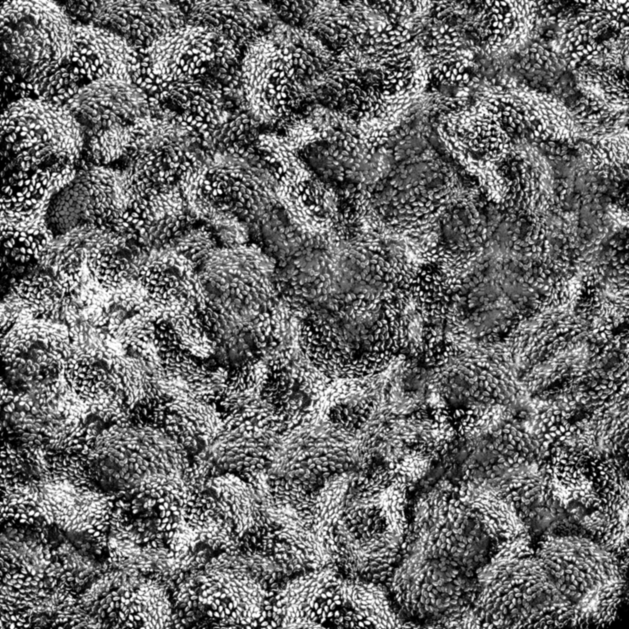 Sesame Balls 3D model - TurboSquid 1908584