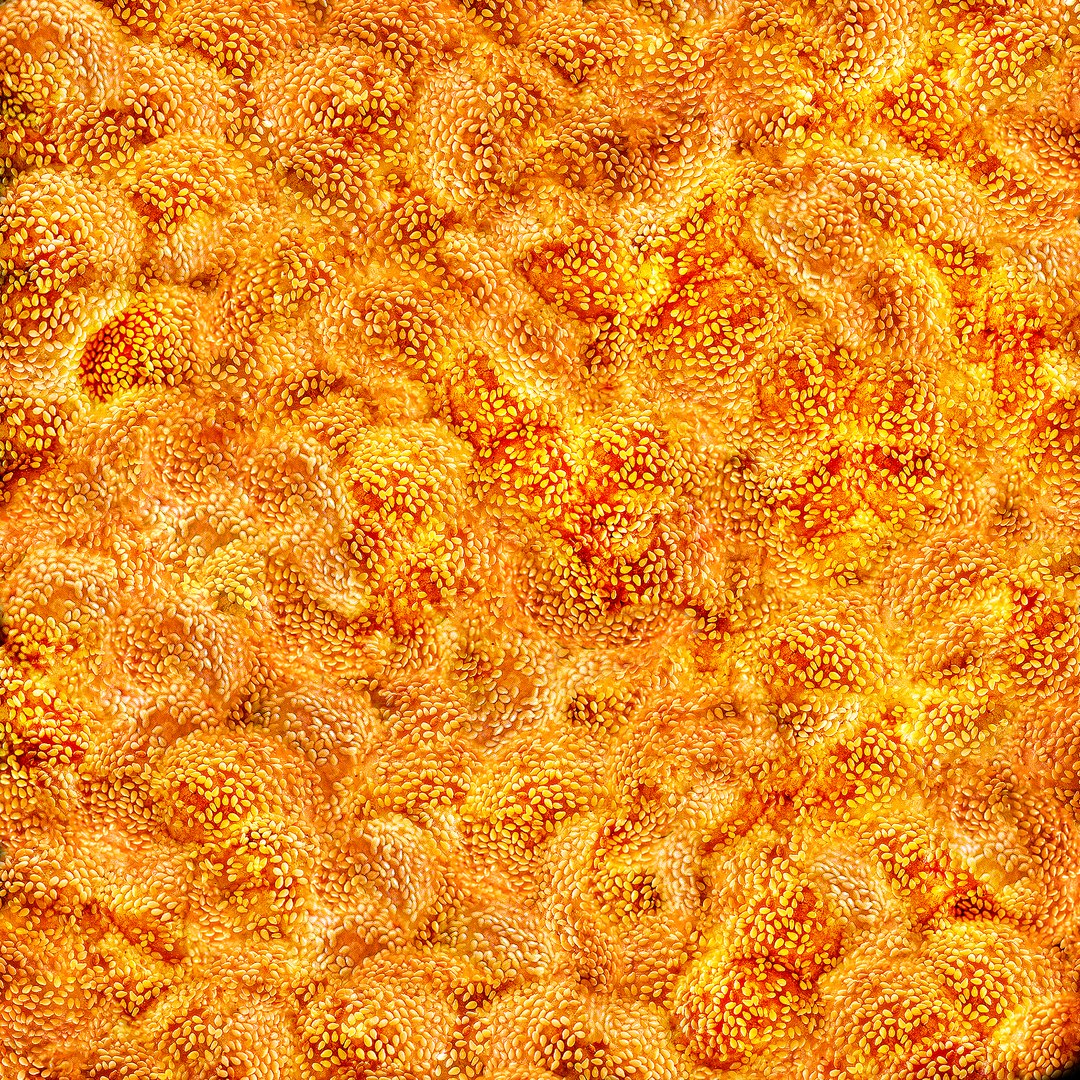 Sesame Balls 3D Model - TurboSquid 1908584