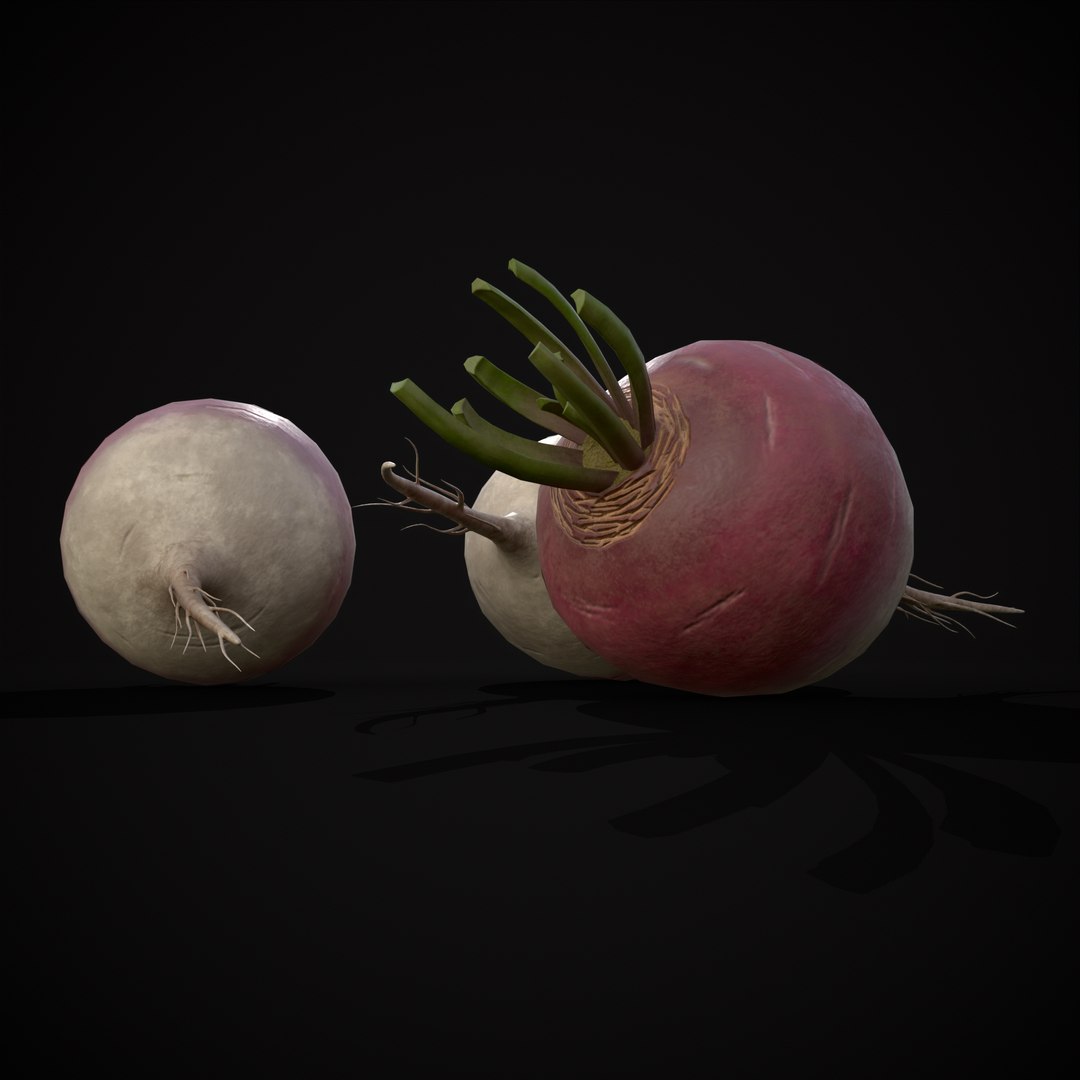 Purple Top White Globe Turnips 3D model - TurboSquid 1993494