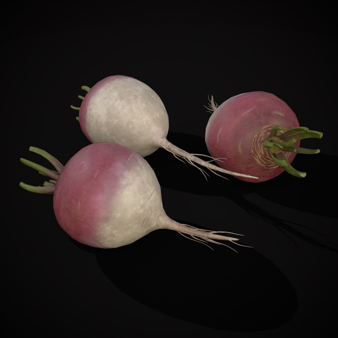 Purple Top White Globe Turnips 3D model - TurboSquid 1993494