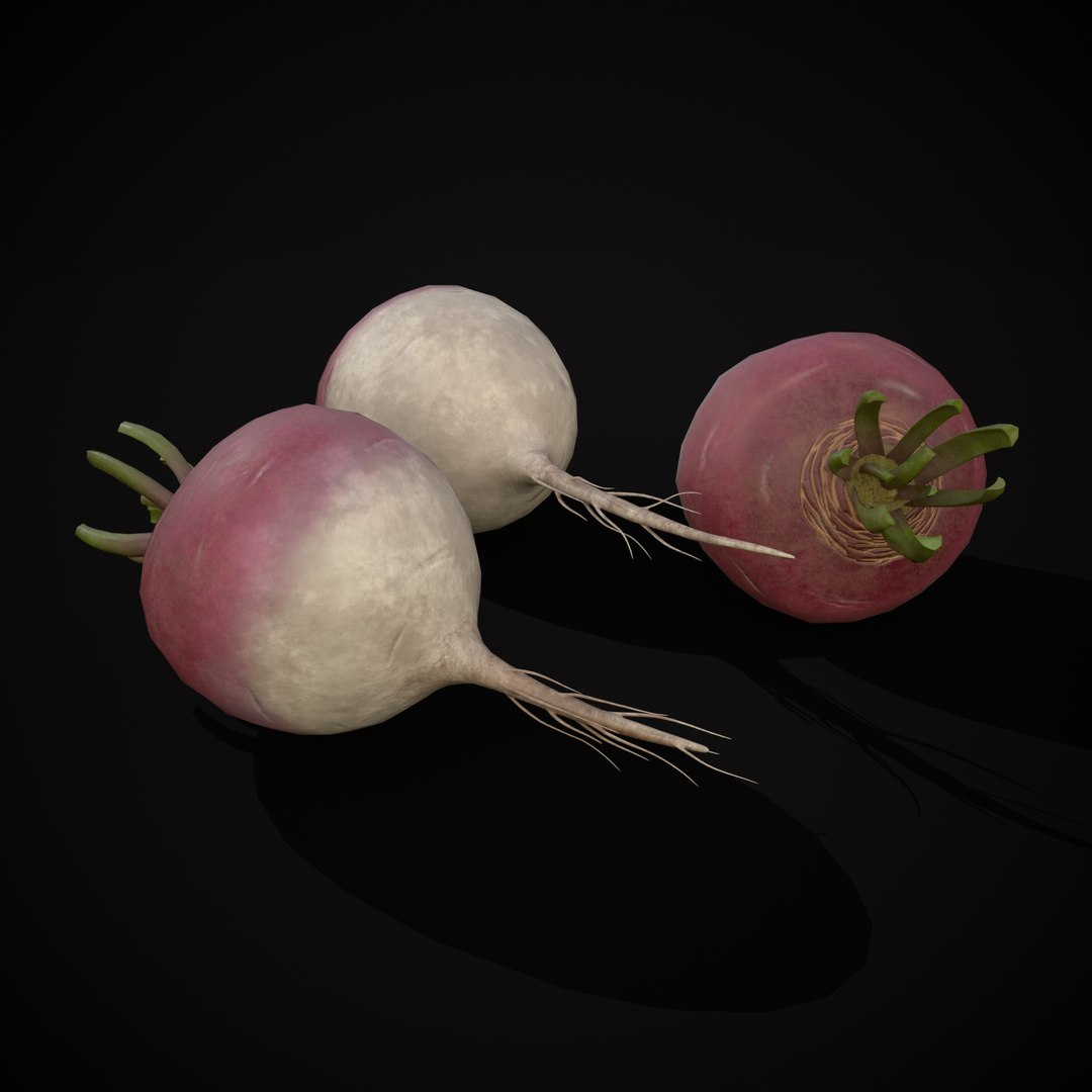 Purple Top White Globe Turnips 3D model - TurboSquid 1993494
