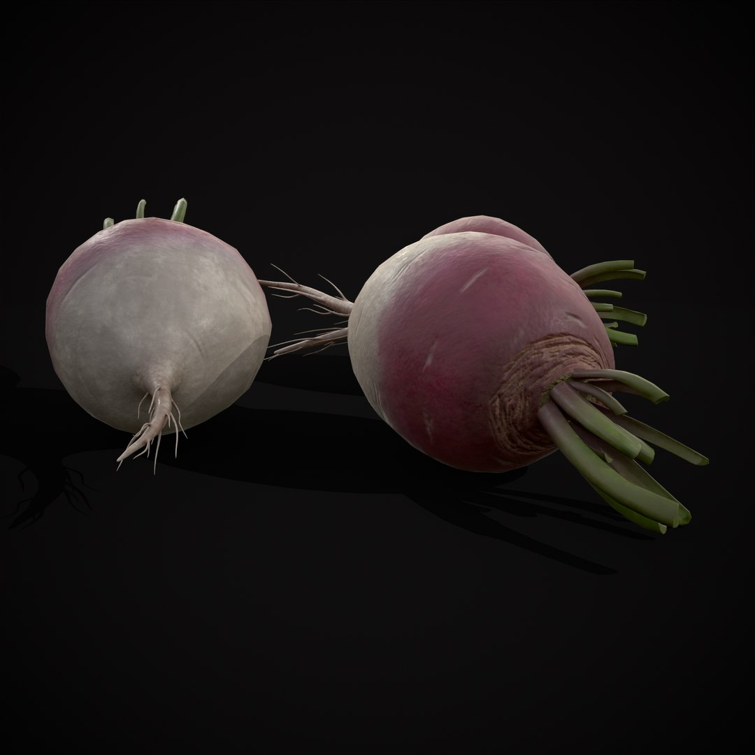 Purple Top White Globe Turnips 3D model - TurboSquid 1993494