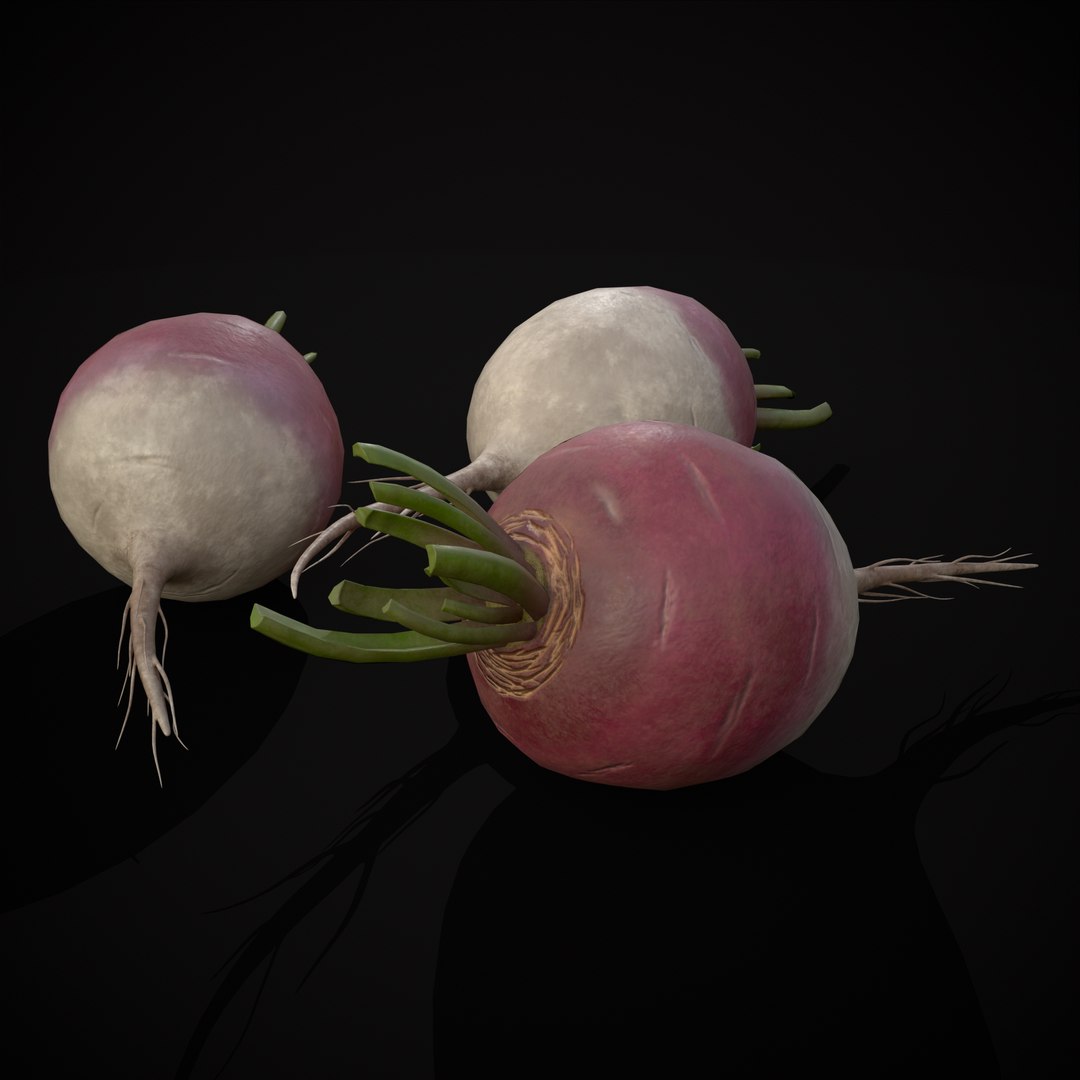 Purple Top White Globe Turnips 3D model - TurboSquid 1993494