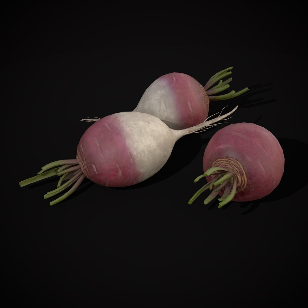 Purple Top White Globe Turnips 3D model - TurboSquid 1993494