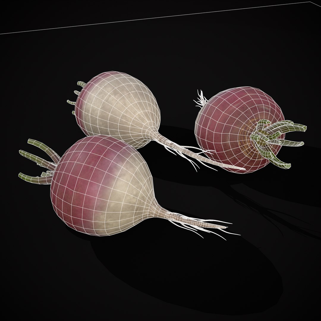 Purple Top White Globe Turnips 3D model - TurboSquid 1993494