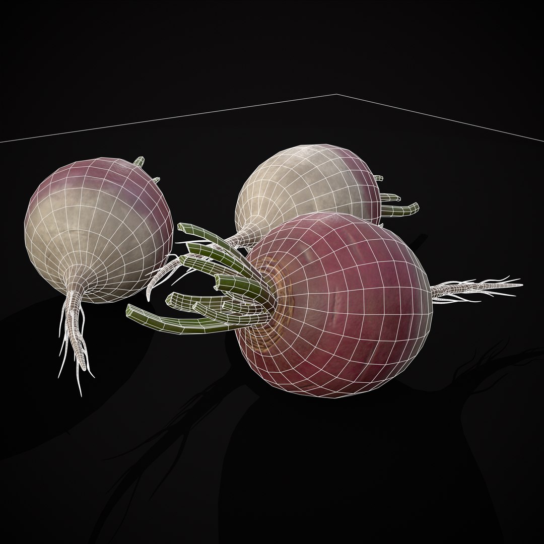Purple Top White Globe Turnips 3D model - TurboSquid 1993494