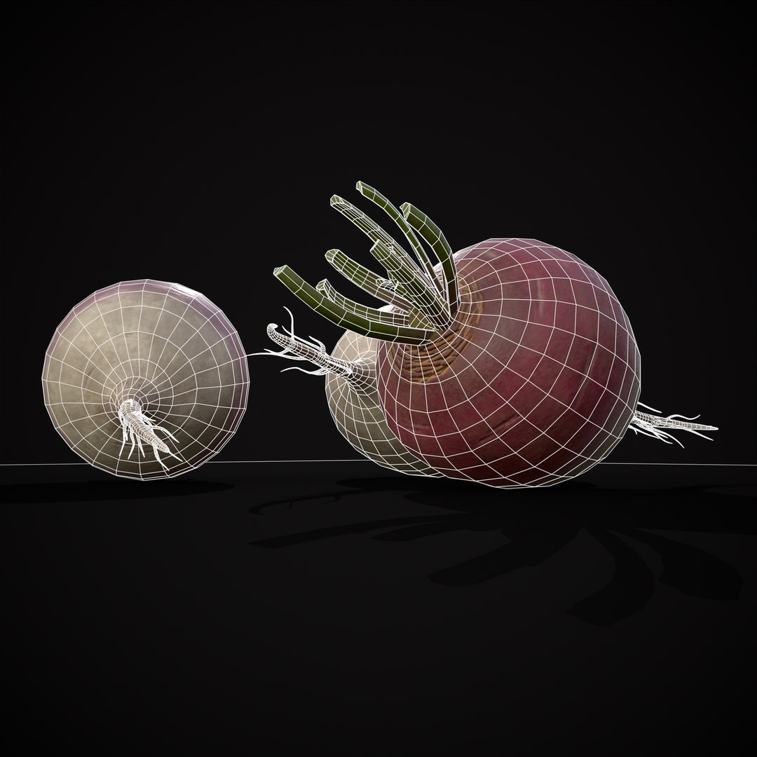 Purple Top White Globe Turnips 3D model - TurboSquid 1993494