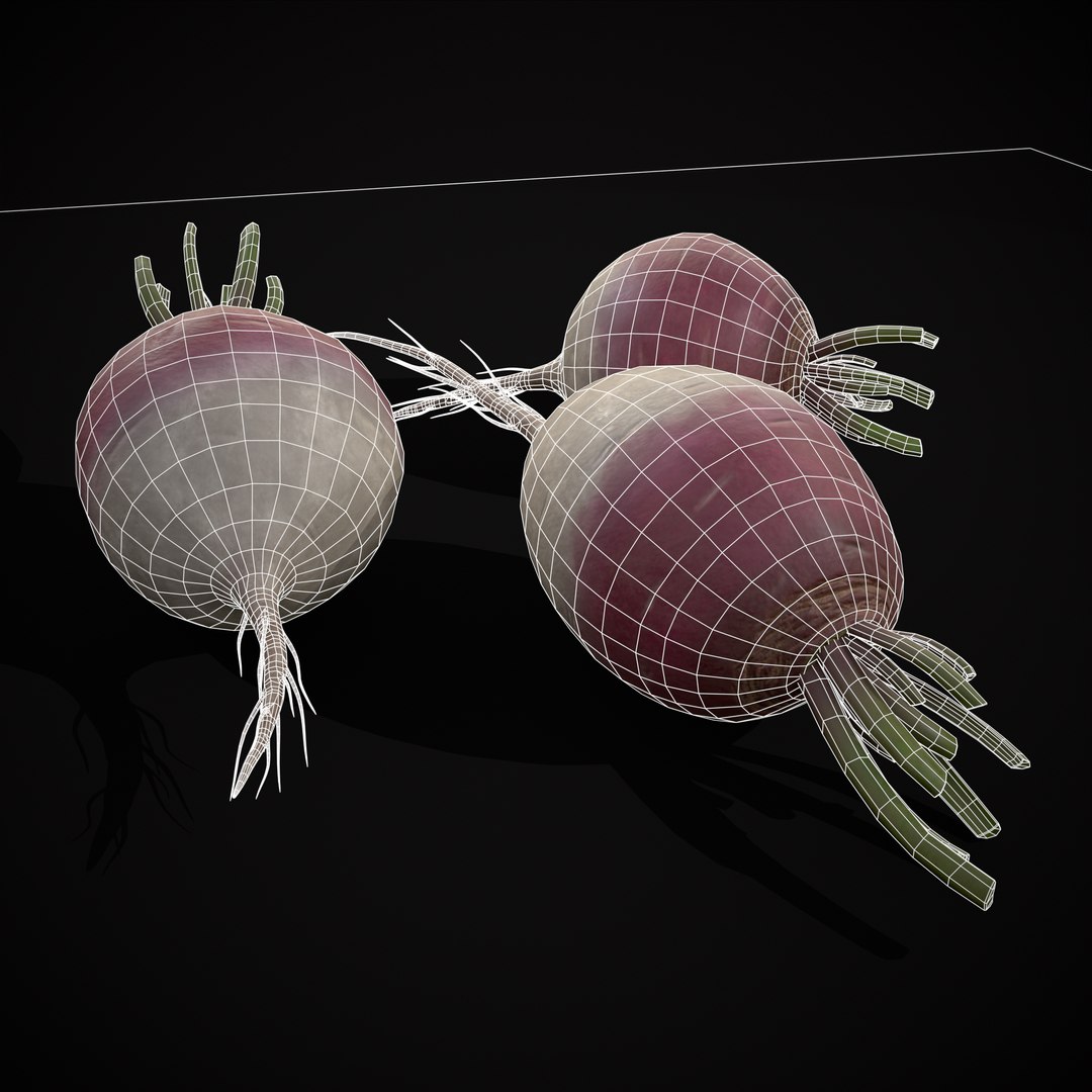 Purple Top White Globe Turnips 3D model - TurboSquid 1993494