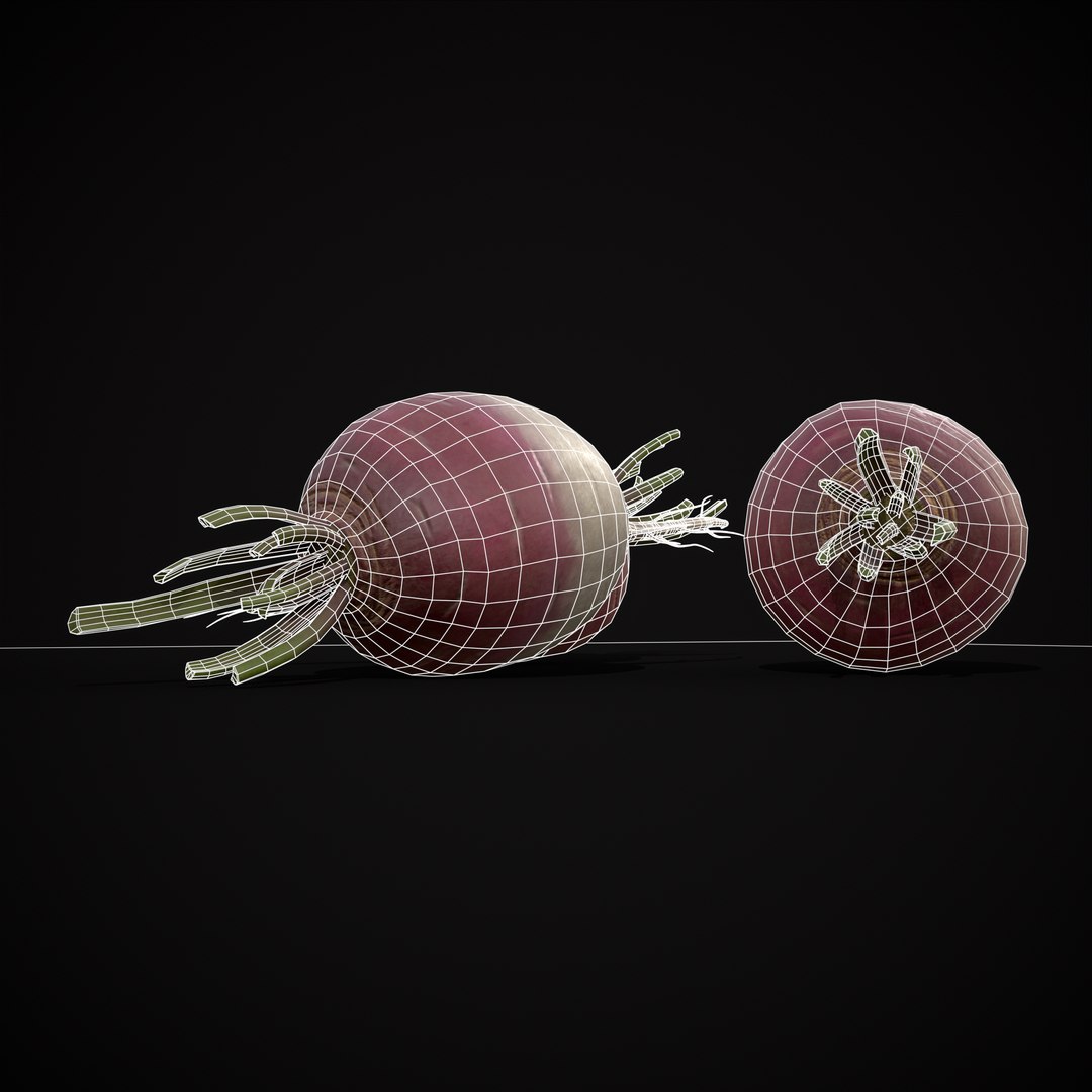 Purple Top White Globe Turnips 3D model - TurboSquid 1993494