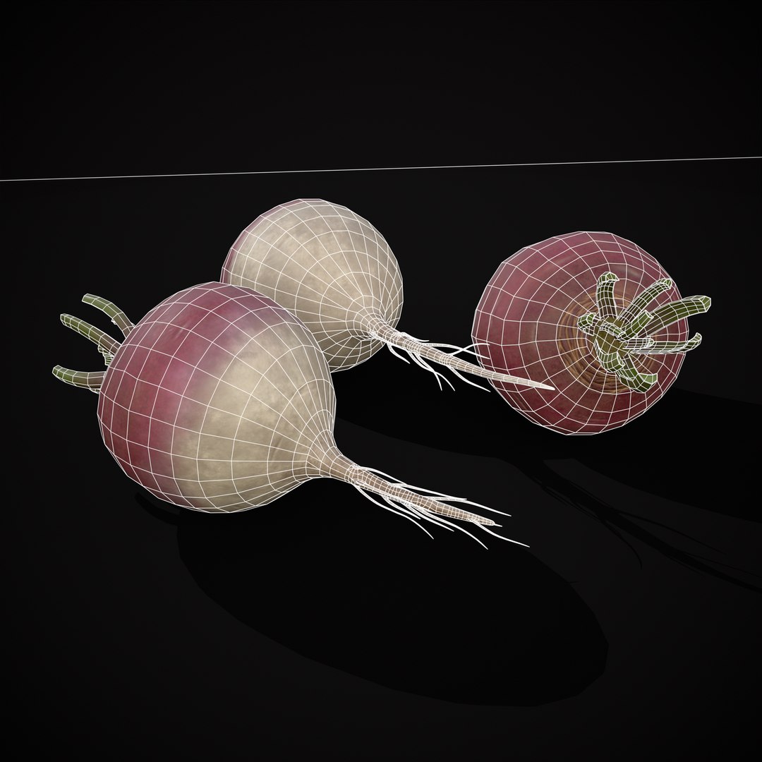 Purple Top White Globe Turnips 3D model - TurboSquid 1993494