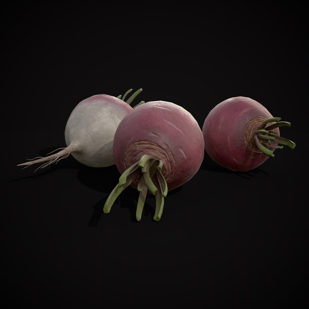Purple Top White Globe Turnips 3D model - TurboSquid 1993494