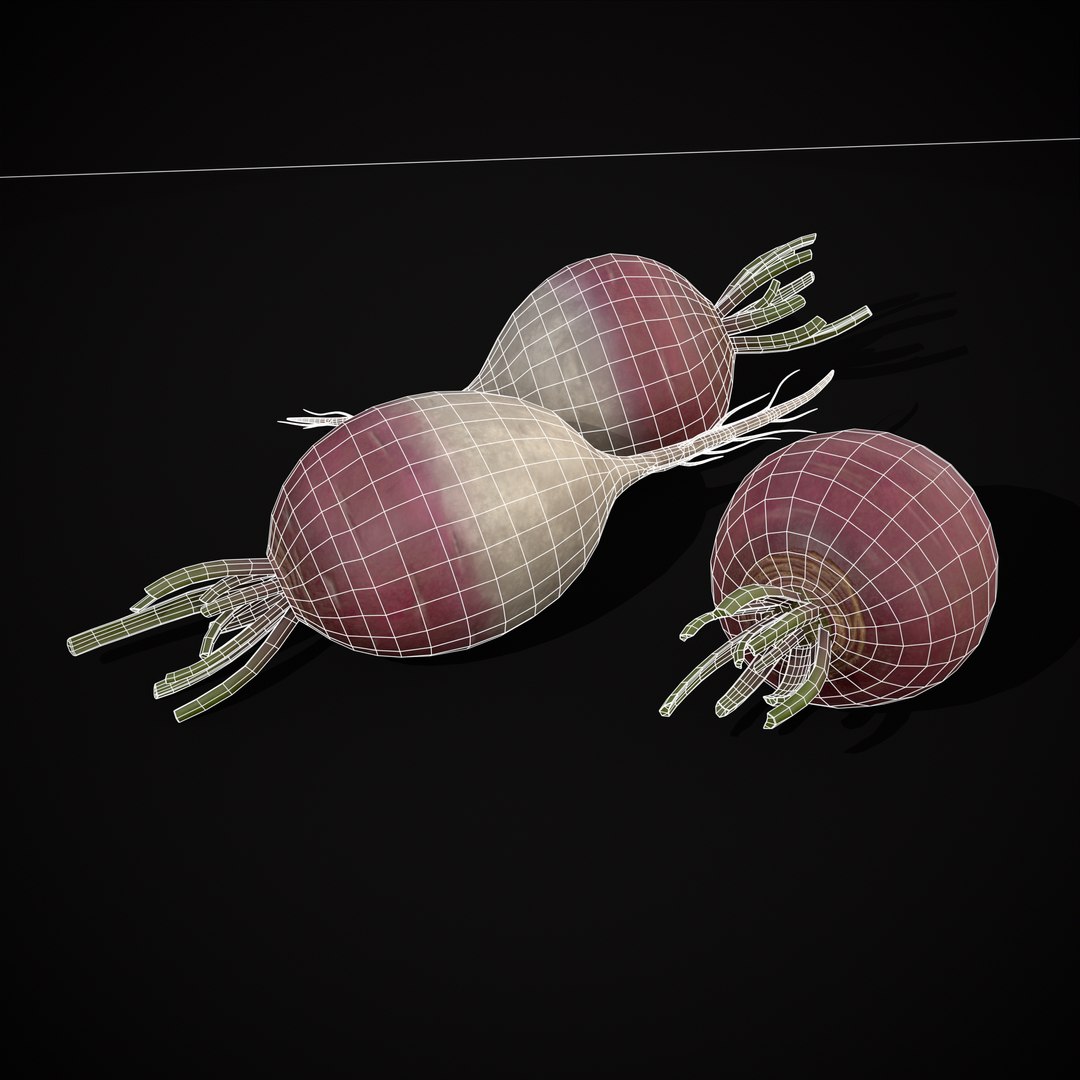 Purple Top White Globe Turnips 3D model - TurboSquid 1993494