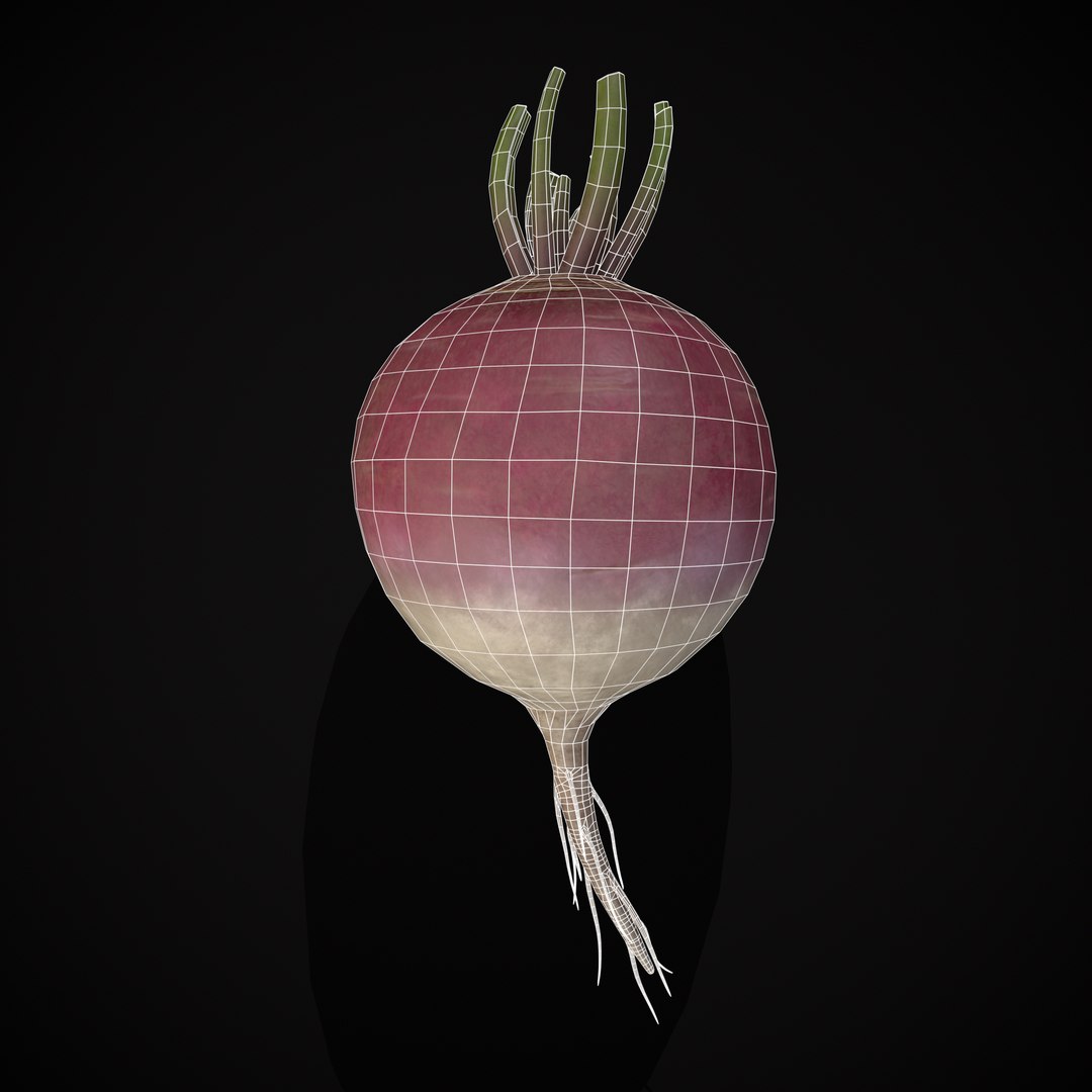 Purple Top White Globe Turnips 3D model - TurboSquid 1993494