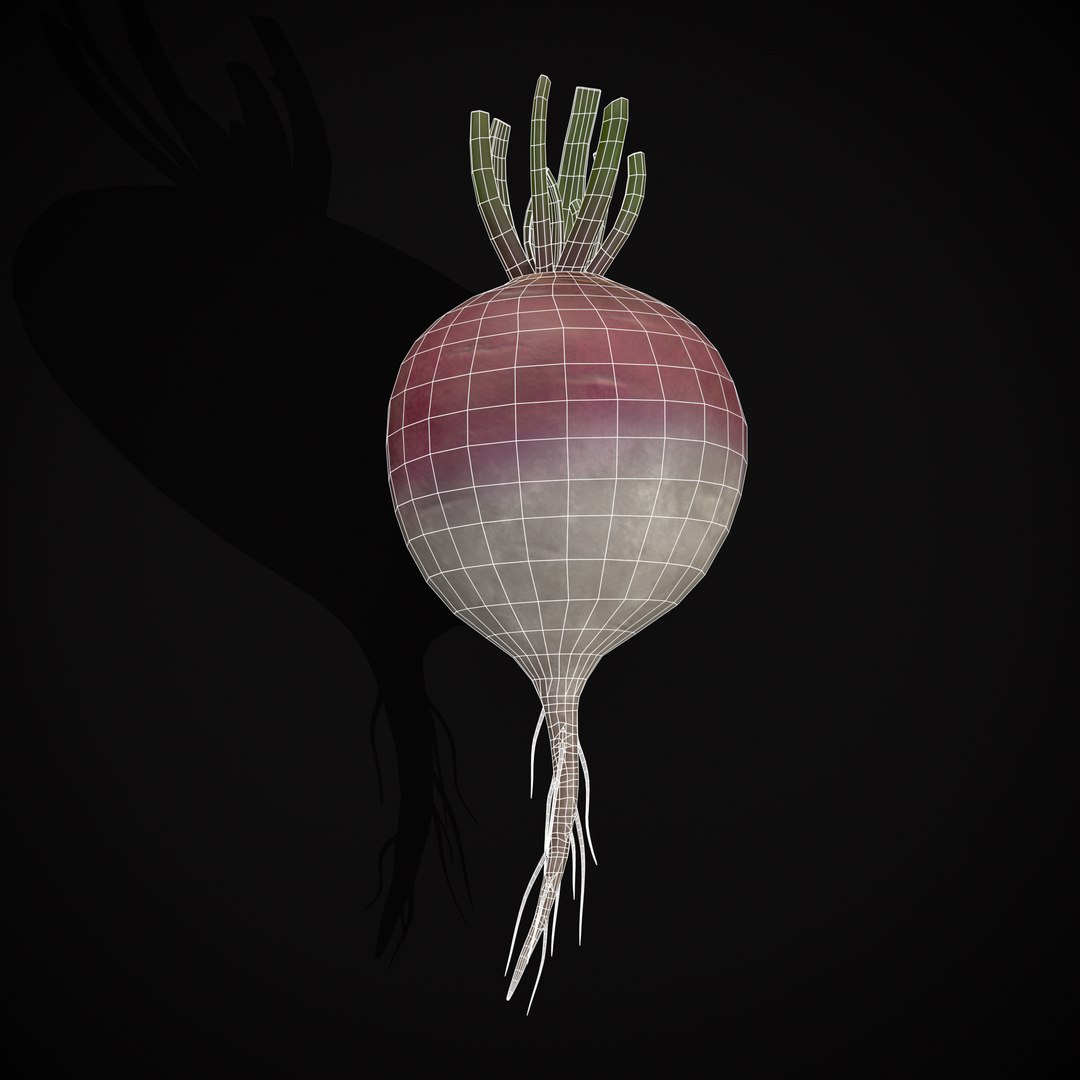 Purple Top White Globe Turnips 3D model - TurboSquid 1993494
