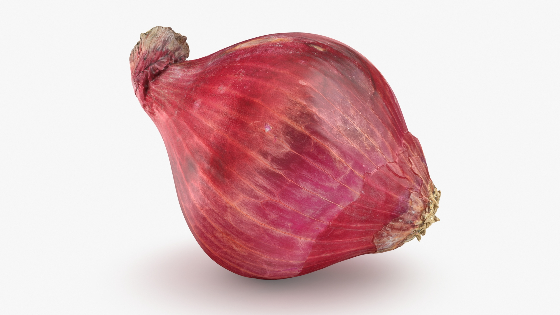 3D Whole Red Onion - TurboSquid 2237729