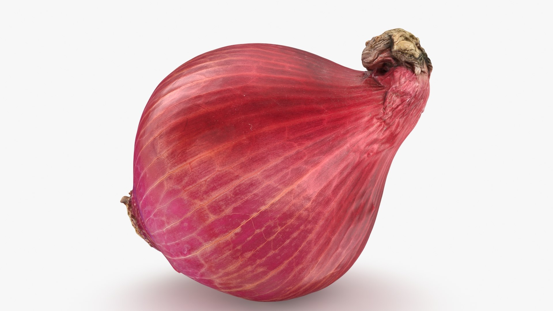 3D Whole Red Onion - TurboSquid 2237729