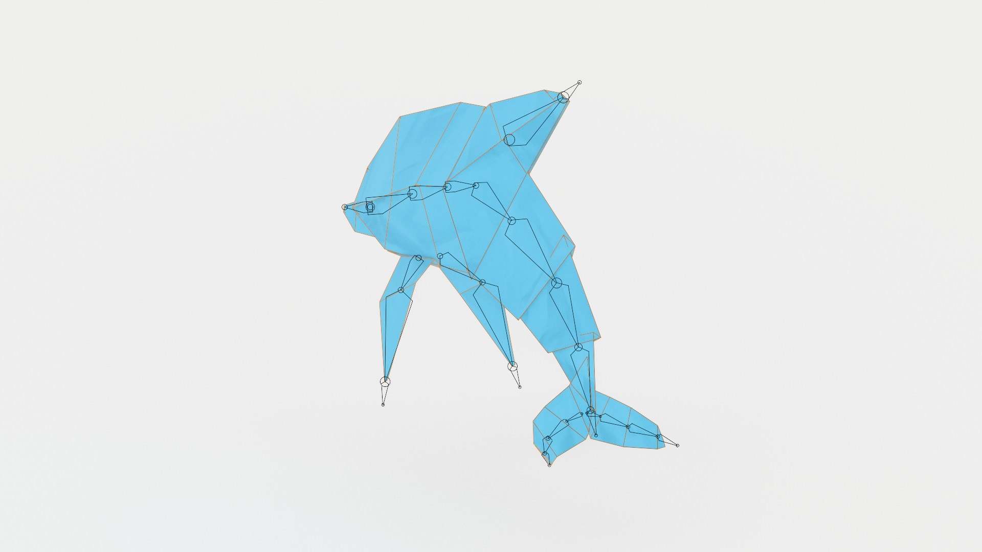 Dolphin 3D Model - TurboSquid 2319437