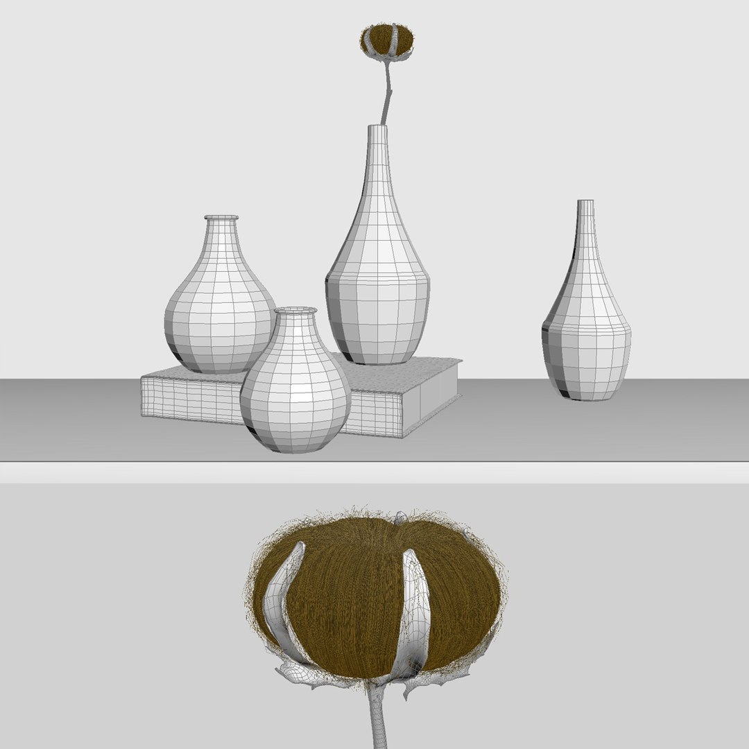 Plant Boxwood Cotton 3D Model - TurboSquid 1409937