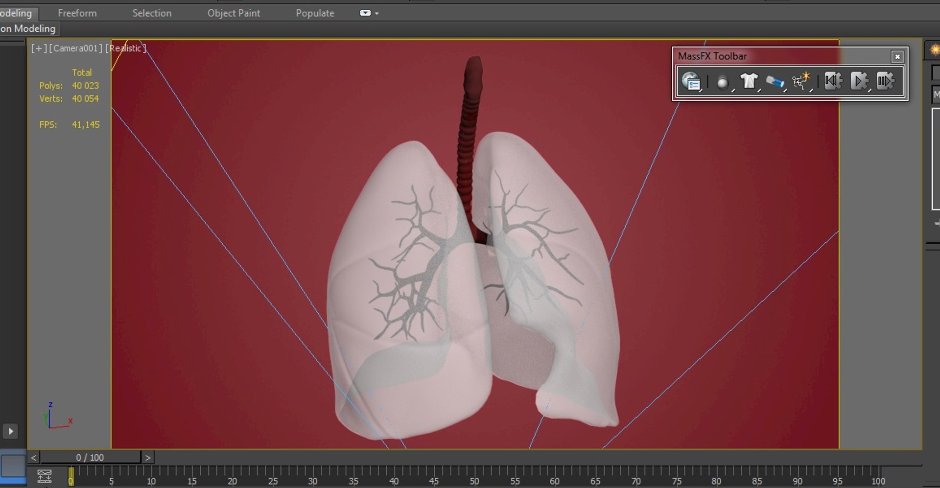 Realistic Human Lungs Max