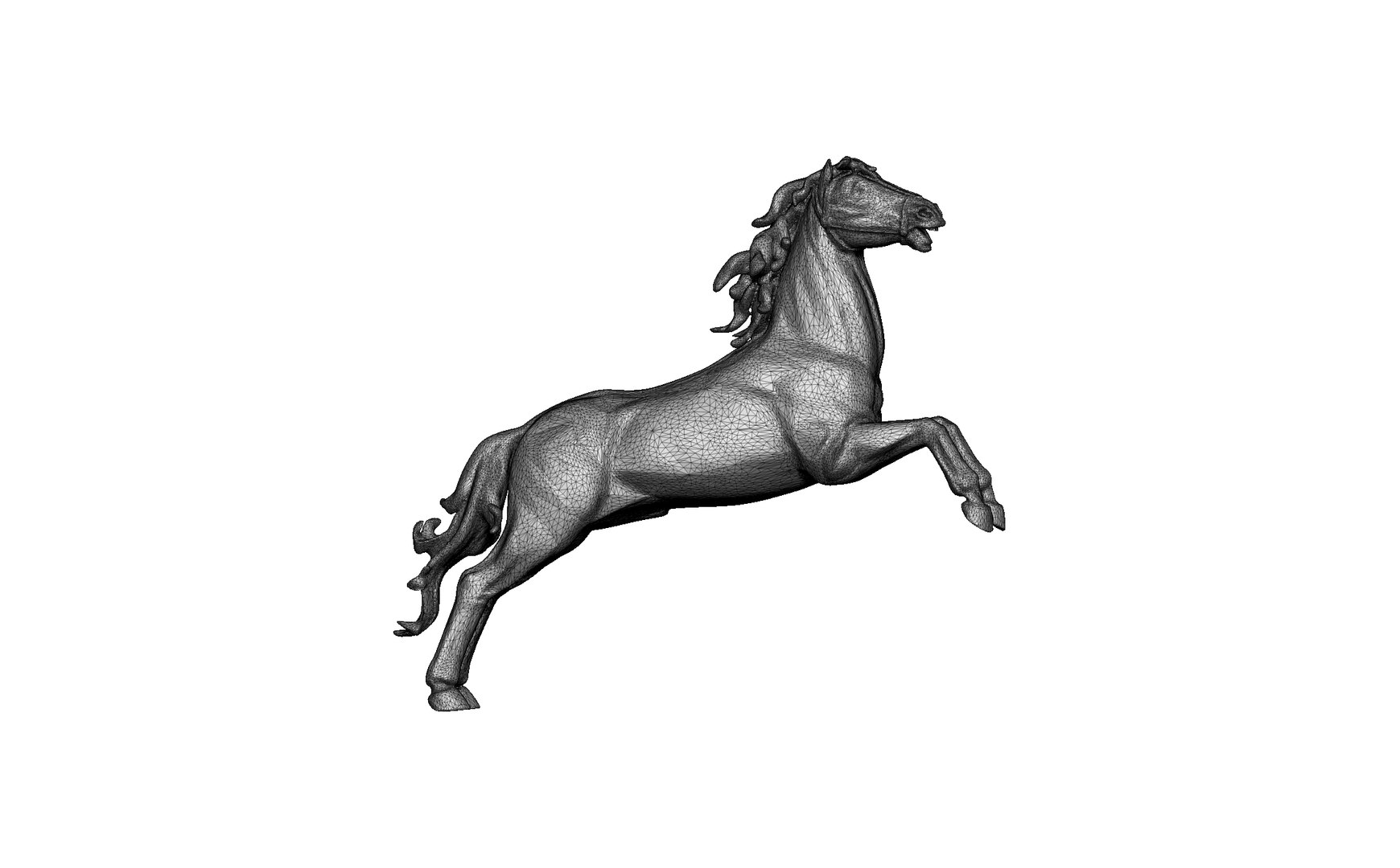 Animal Horse Head Mane Muscles 3D - TurboSquid 2132495