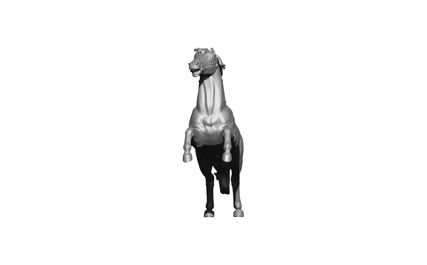 Animal Horse Head Mane Muscles 3D - TurboSquid 2132495