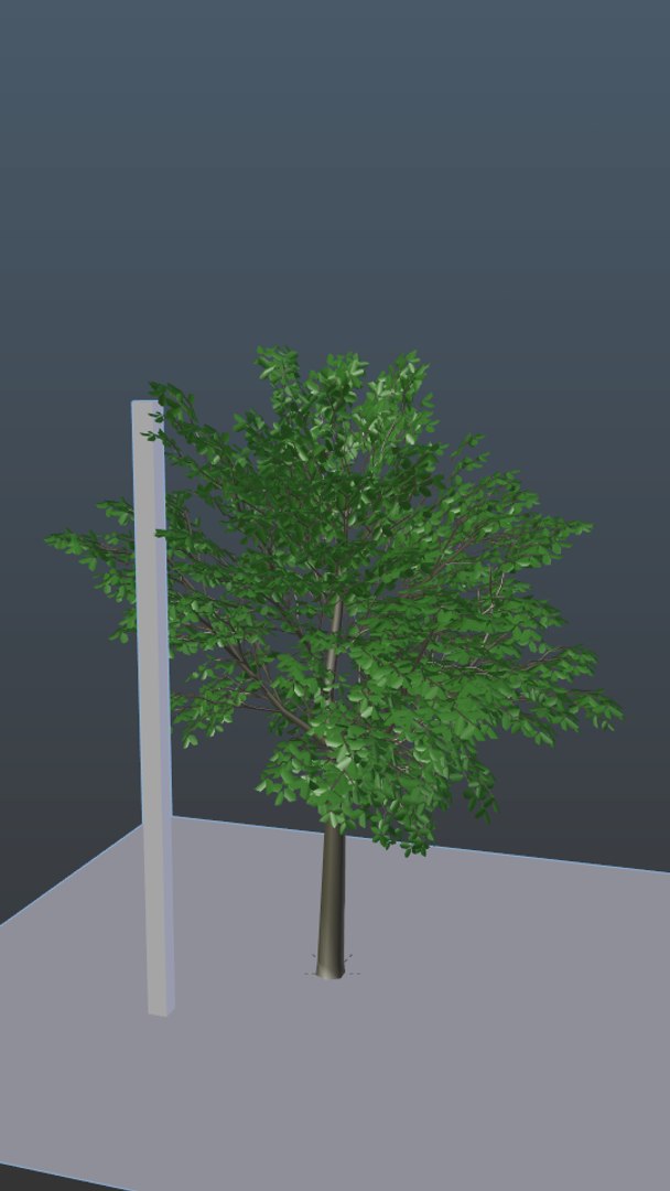 Tree Exterior 3D Model - TurboSquid 1295817