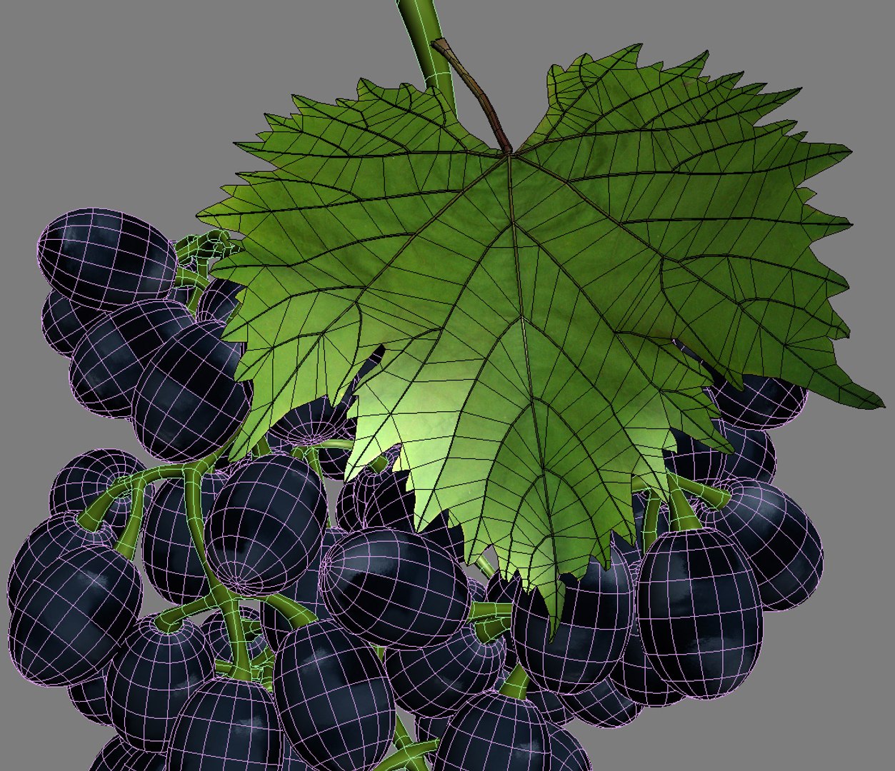 Realistic Grapes Black 3d Model
