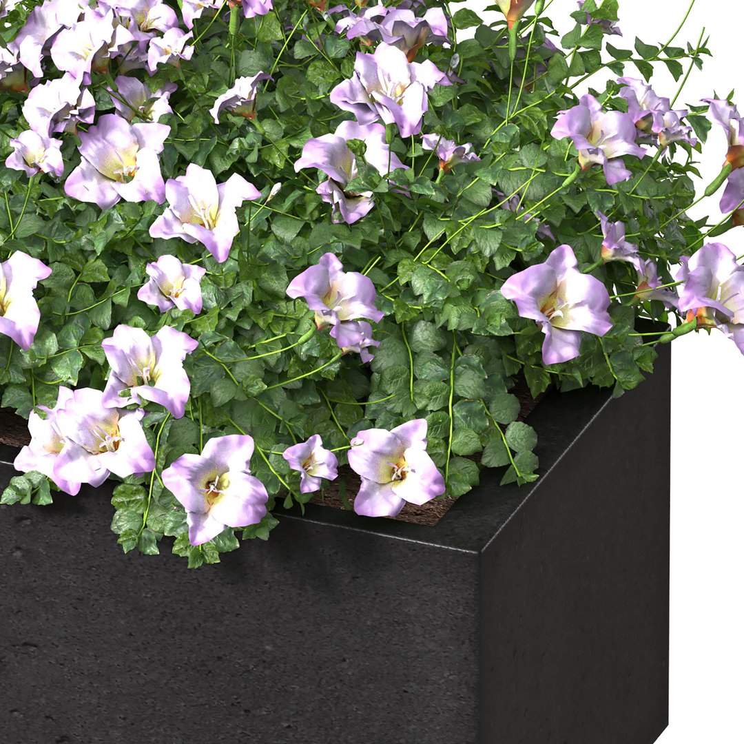 3D Window box flower pot Balcony container garden model - TurboSquid ...